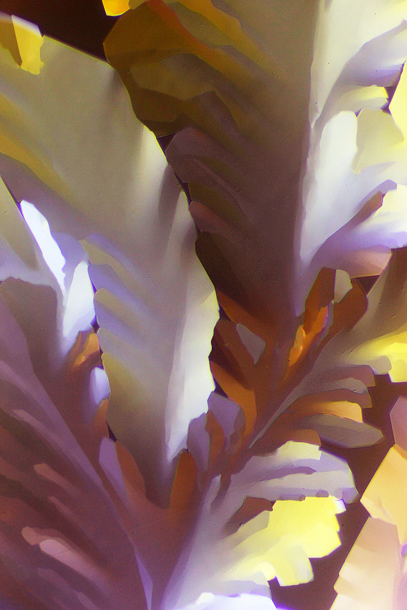 NOTES FROM THE STUDIO LAB-PHOTOGRAPHY OF CRYSTALS: ENCOUNTERS WITH ART ...